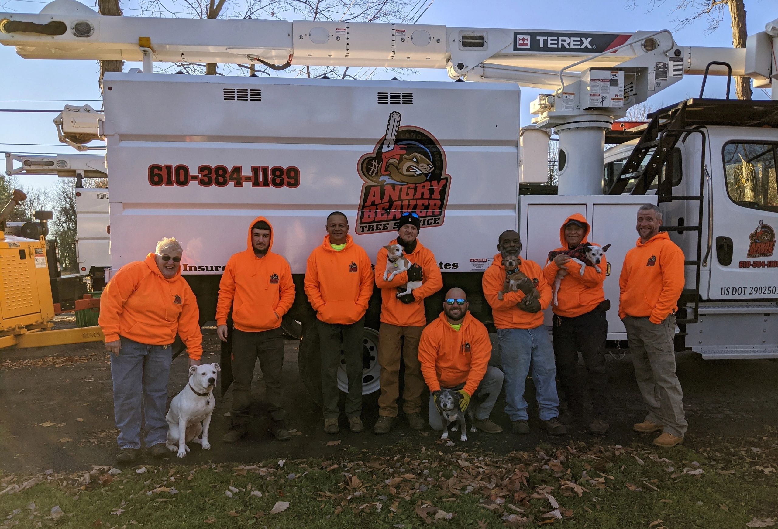 Angry Beaver Landscaping Tree Service Llc